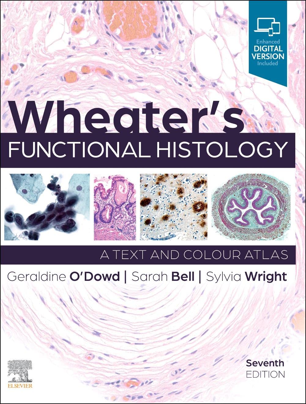 Wheater's Functional Histology: 9780702083341: Medicine & Health ...