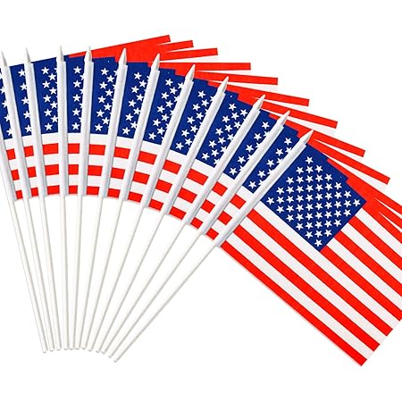 Amazon.com : Anley USA United States Mini Flag 12 Pack - Hand Held ...