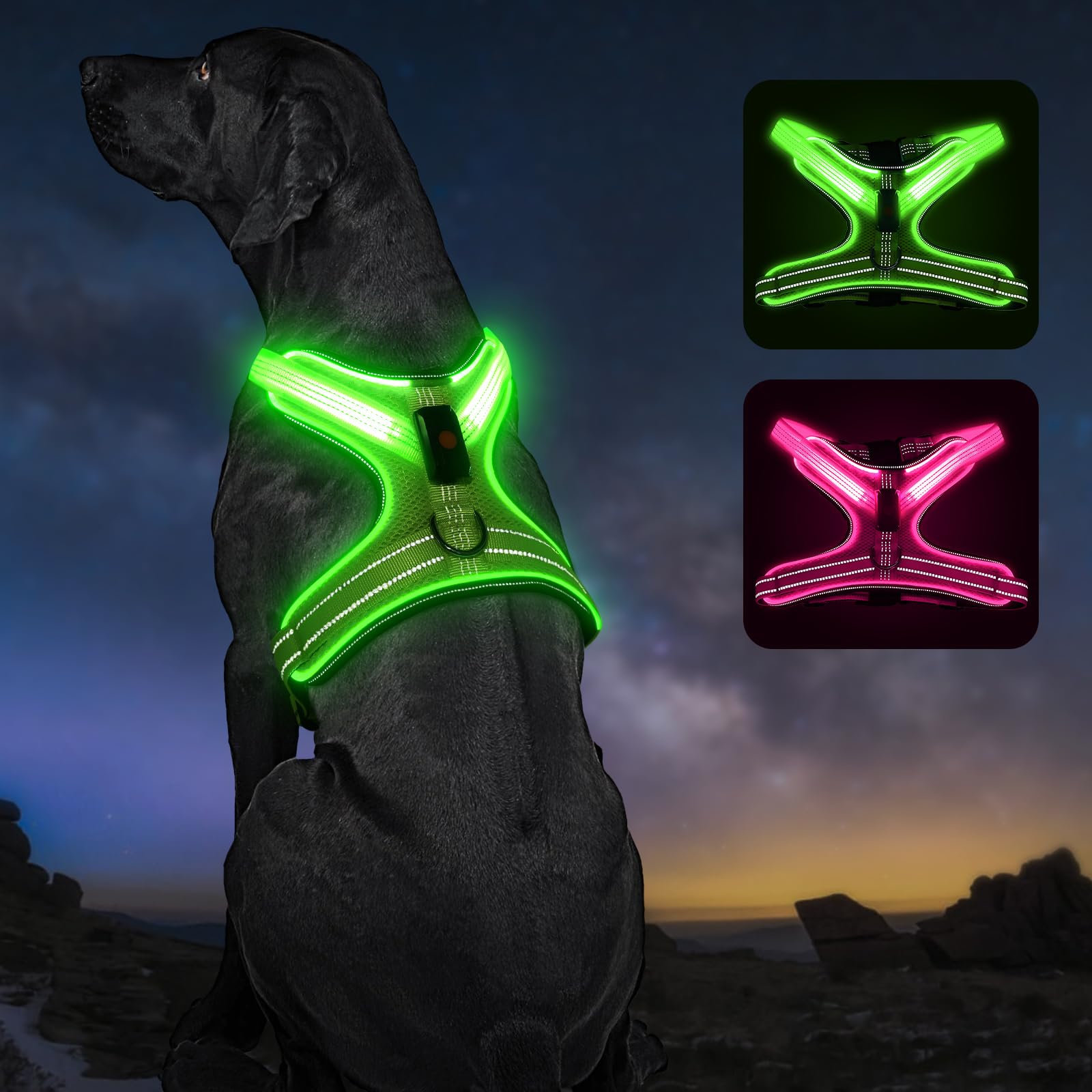 Amazon.com : Light Up Dog Harness, Rechargeable Led Dog Harness ...
