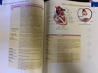 Exploring Medical Language: A Student-Directed Approach/Medical ...