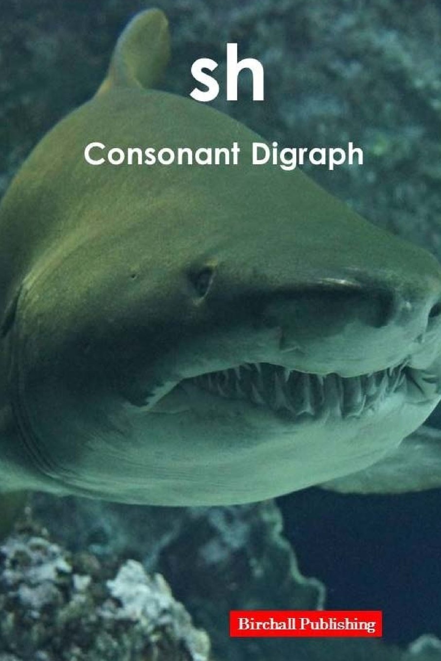 Digraphs: Consonant Digraph sh (Phonics for Kids): Publishing, Birchall ...