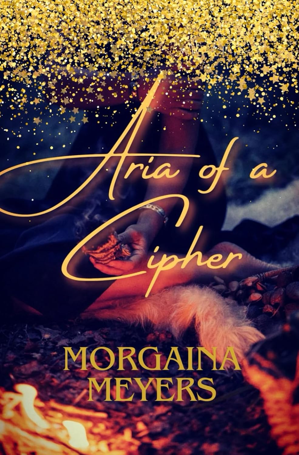 Amazon.com: Aria of a Cipher: Book One: 9798442450927: Meyers, Morgaina ...