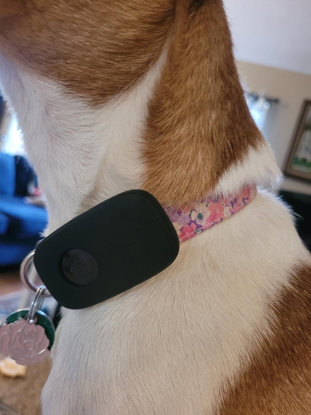 Amazon.com: Silicone Case for Tile pro (2022) for Dog Collar, Slim ...