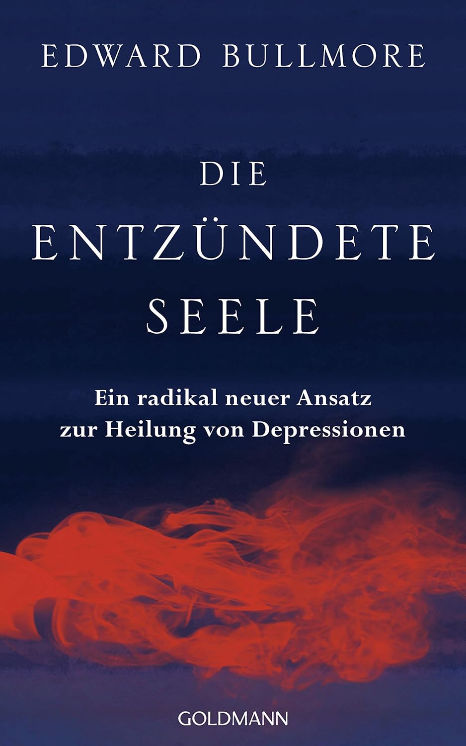 Die entzündete Seele: Ein radikal neuer Ansatz zur Heilung von ...