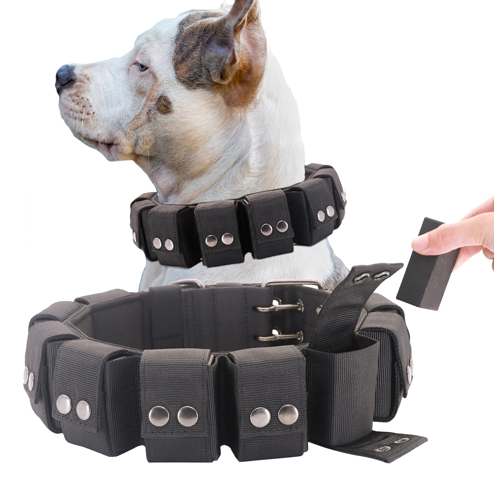 Amazon.com : Walktime, Dog Collar, Tactical Dog Collar, Weighted Dog ...
