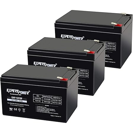 Amazon.com: ExpertPower 12 Volt 12 Ah Rechargeable Battery with F2 ...