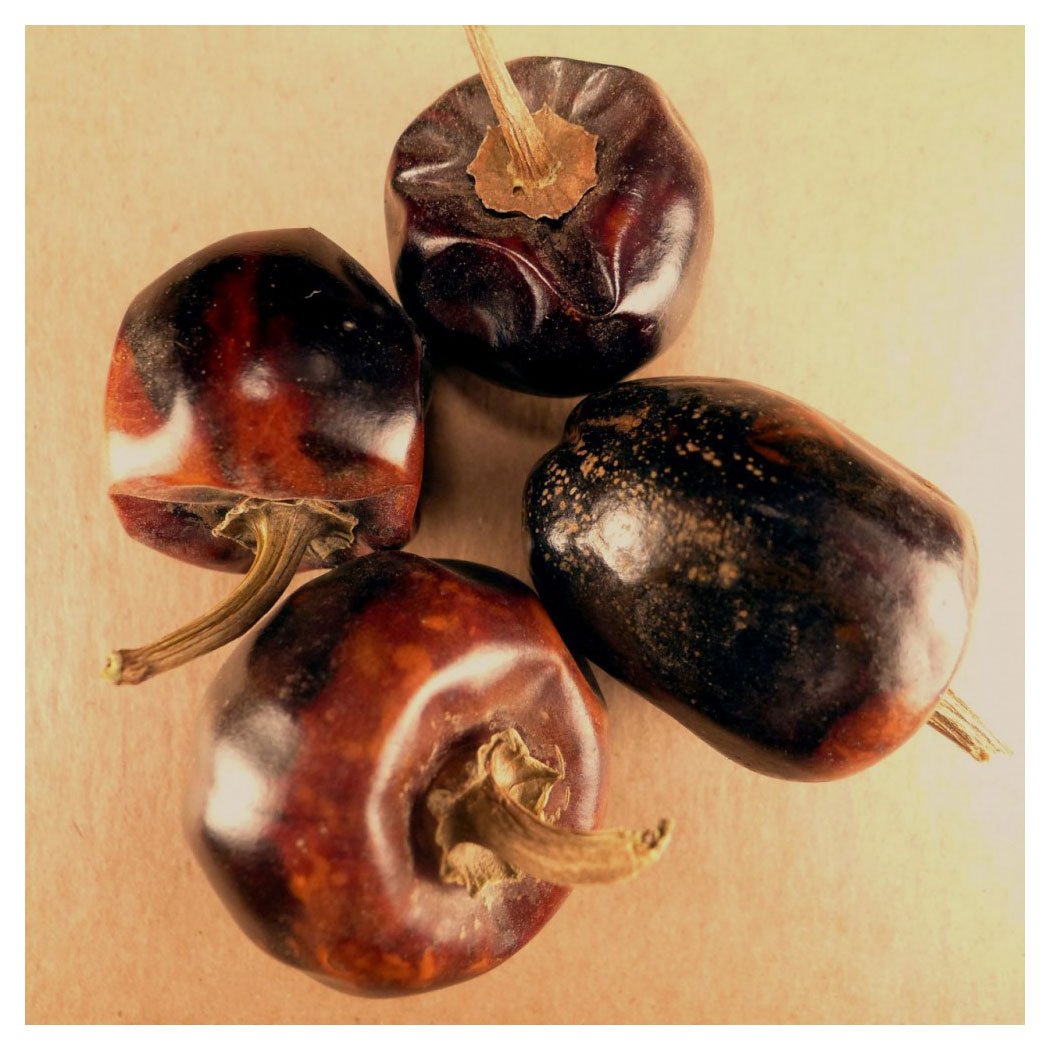 Amazon.com : Chili Pepper, Cascabel - 4 oz Pouch : Spices And ...