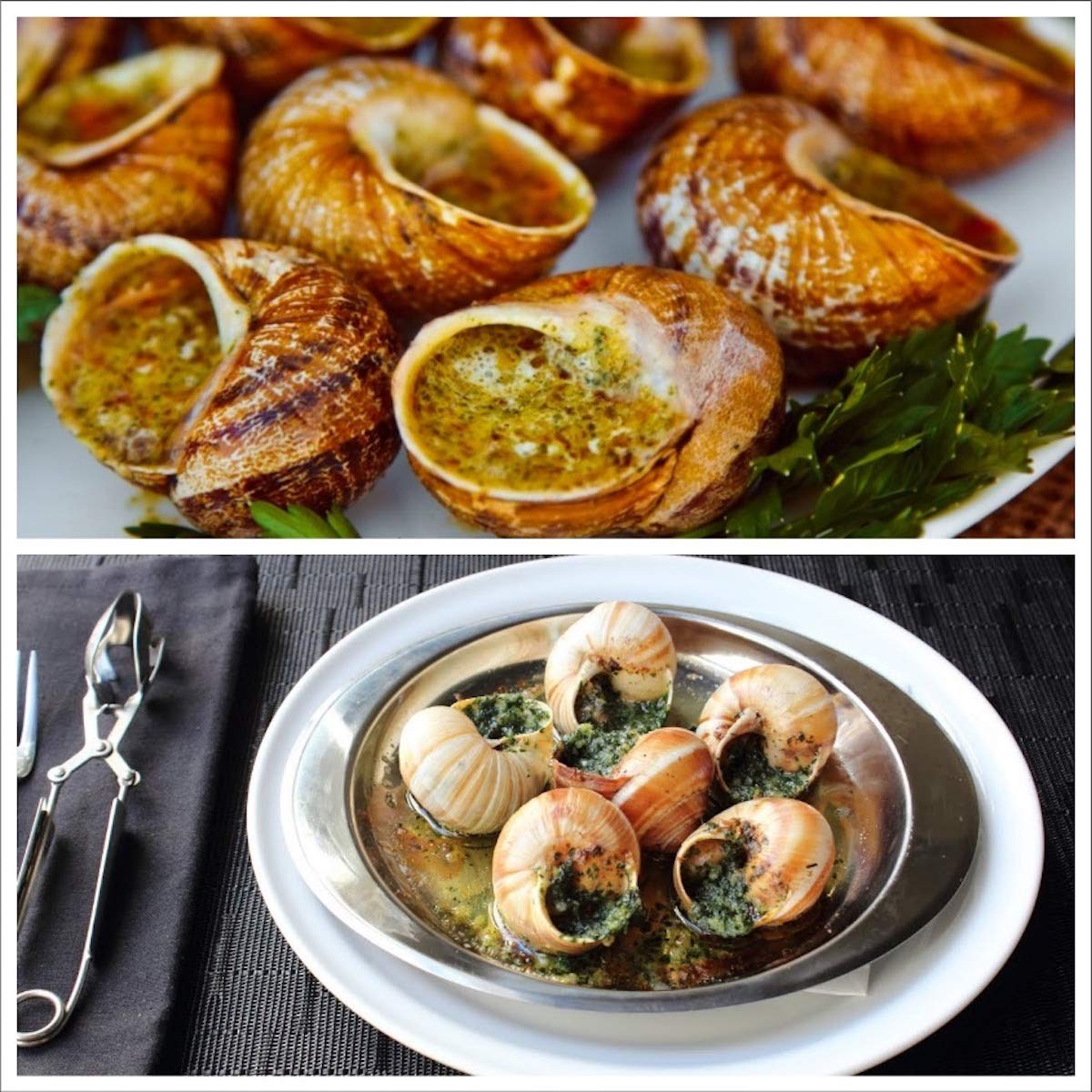 Amazon.com: Escargot Snails : Grocery & Gourmet Food