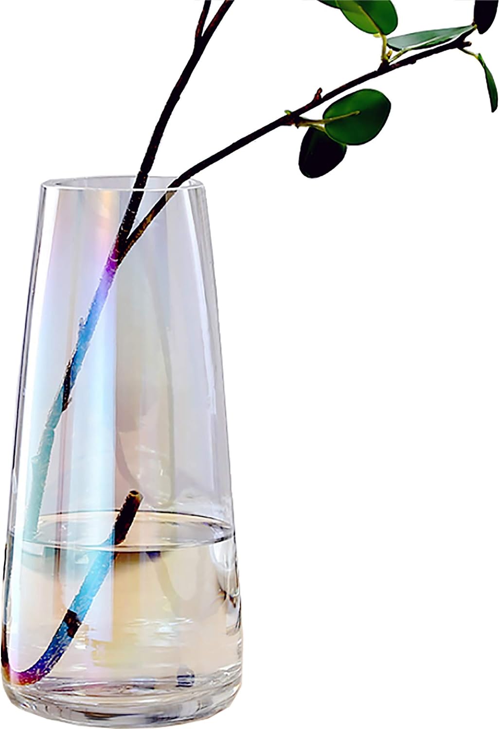 Amazon.com: FANTESTICRYAN Modern Glass Vase Irised Crystal Clear Glass ...