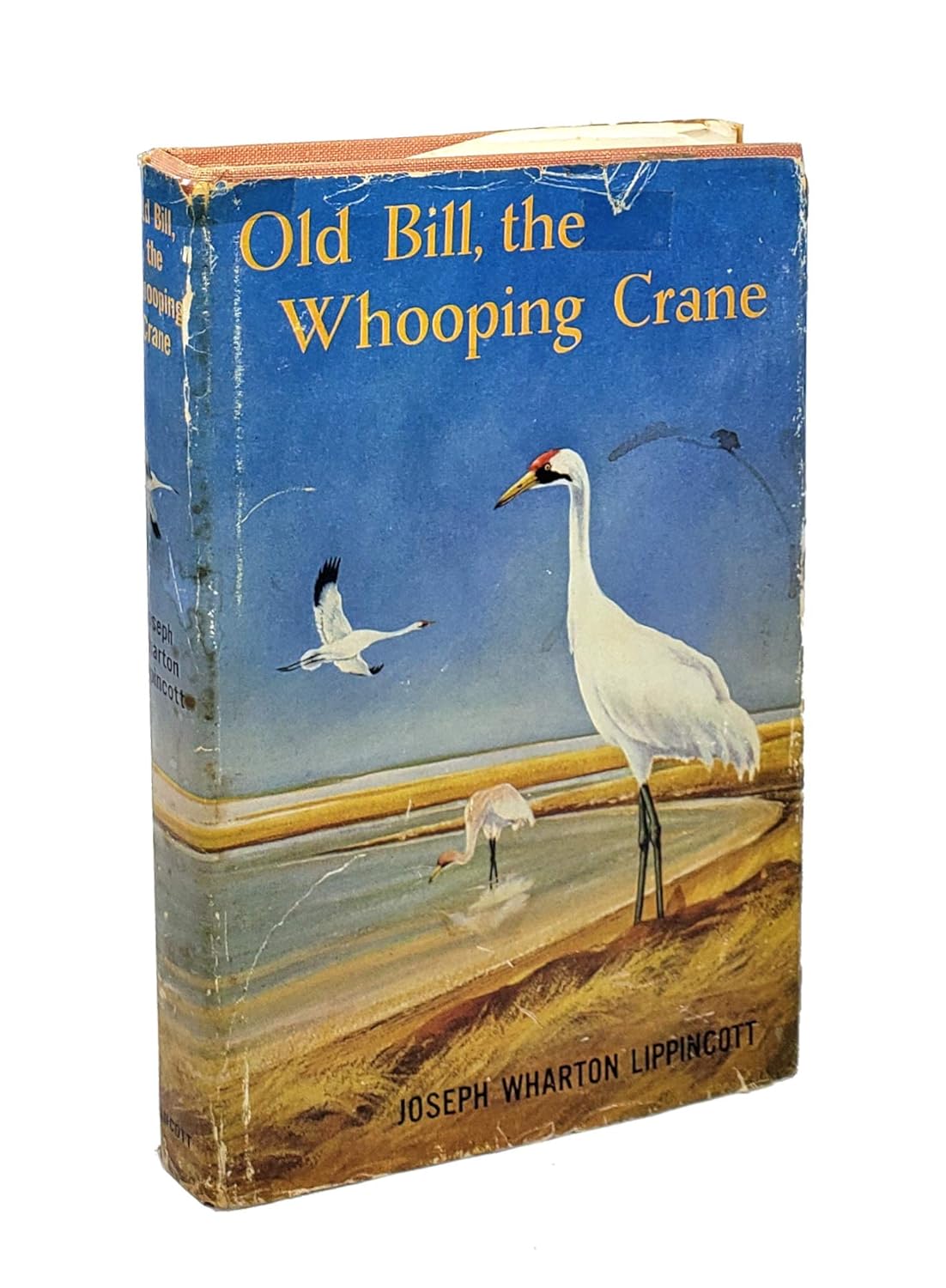 Old Bill: The Whooping Crane : Lippincott Wharton Joseph, Wharton ...