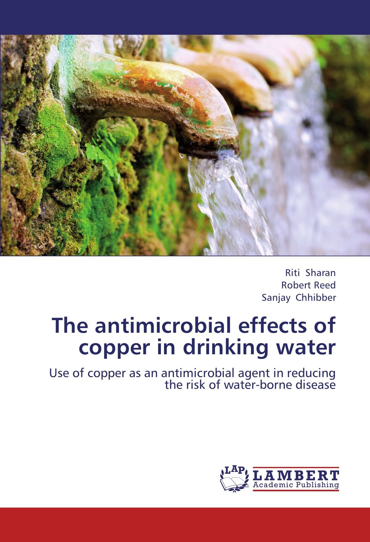 Buy The antimicrobial effects of copper in drinking water: Use of ...