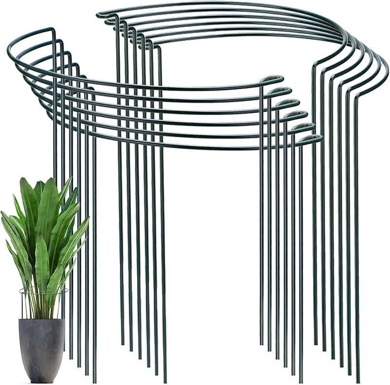 Amazon.co.uk: Rose Supports