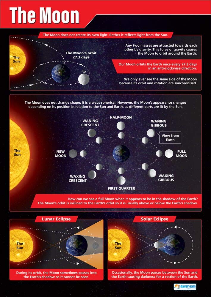 The Moon | Science Posters | Laminated Gloss Paper measuring 850mm x ...