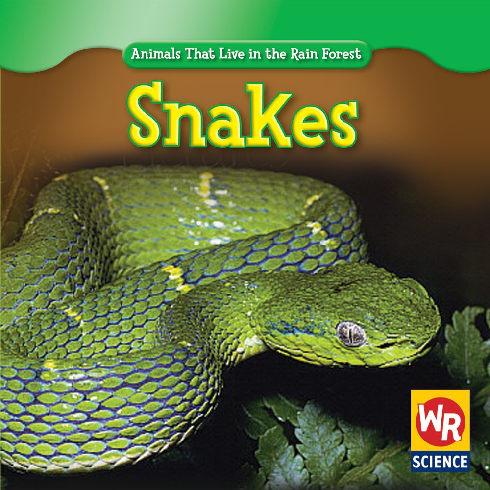 Snakes That Live In The Rainforest New Species Of Amazon Anaconda,