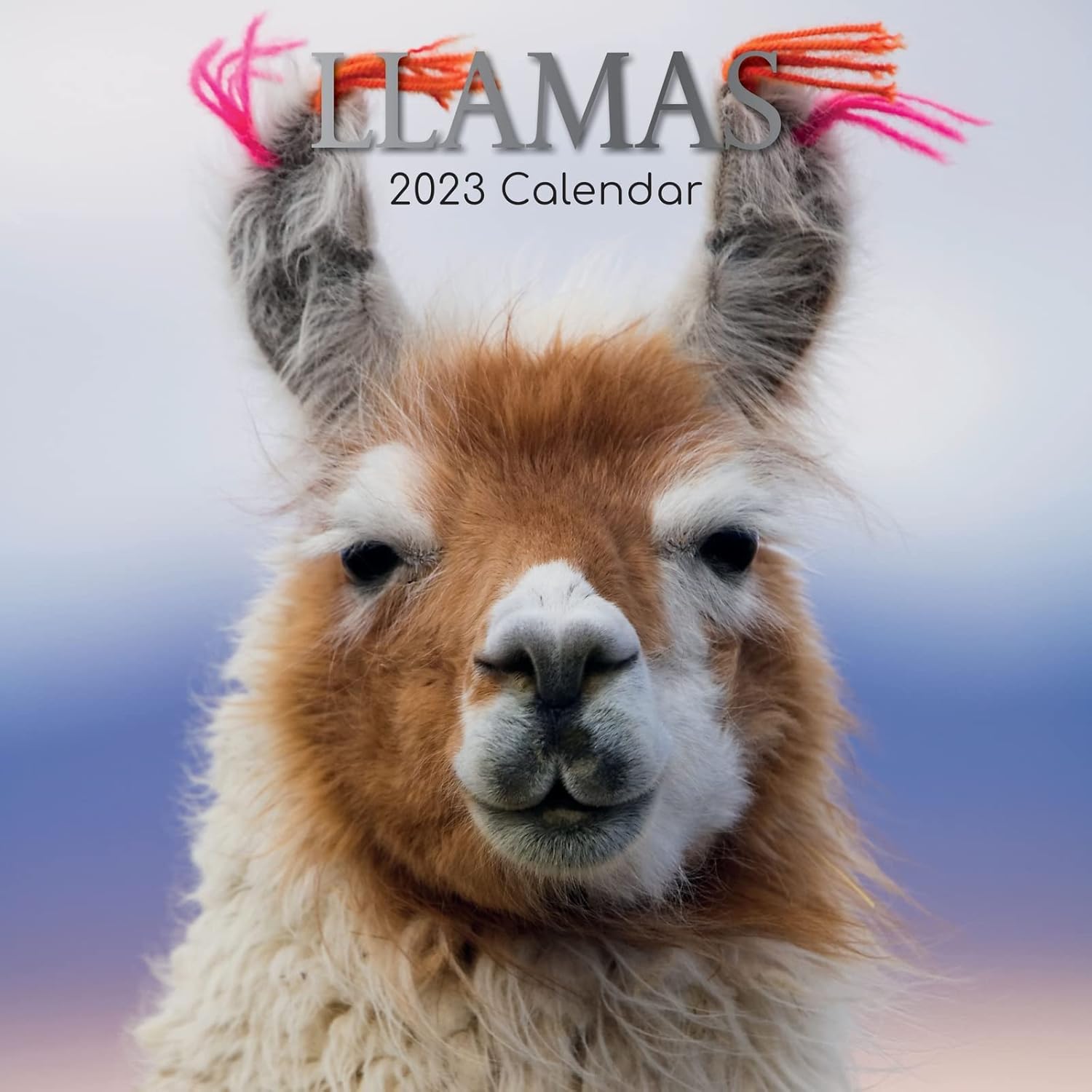2023 Square Wall Calendar, Llamas, 16-Month Animals Nepal | Ubuy