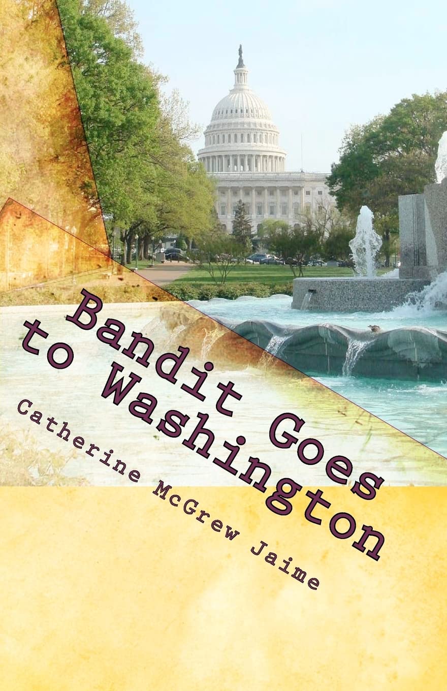 Bandit Goes to Washington: Book 2 in the Horsey and Friends Series ...