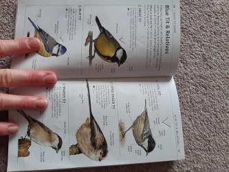 RSPB What's that Bird?: The Simplest ID Guide Ever (DK What's That ...