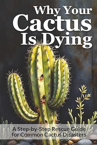 Cactus Rescue: A Step-by-Step Rescue Guide for Common Cactus Disasters ...