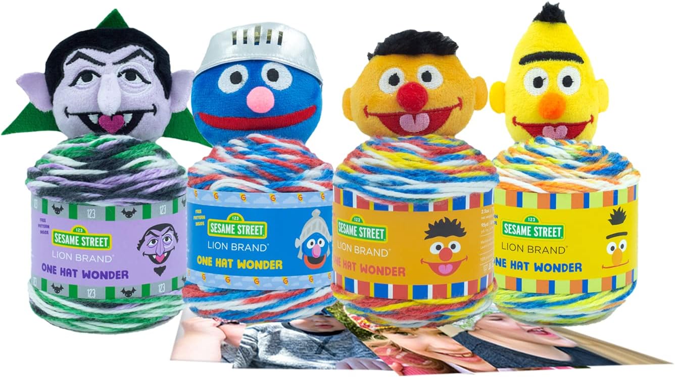 Amazon.com: Lion Brand Yarn - Sesame Street One Hat Wonder - 4 New ...