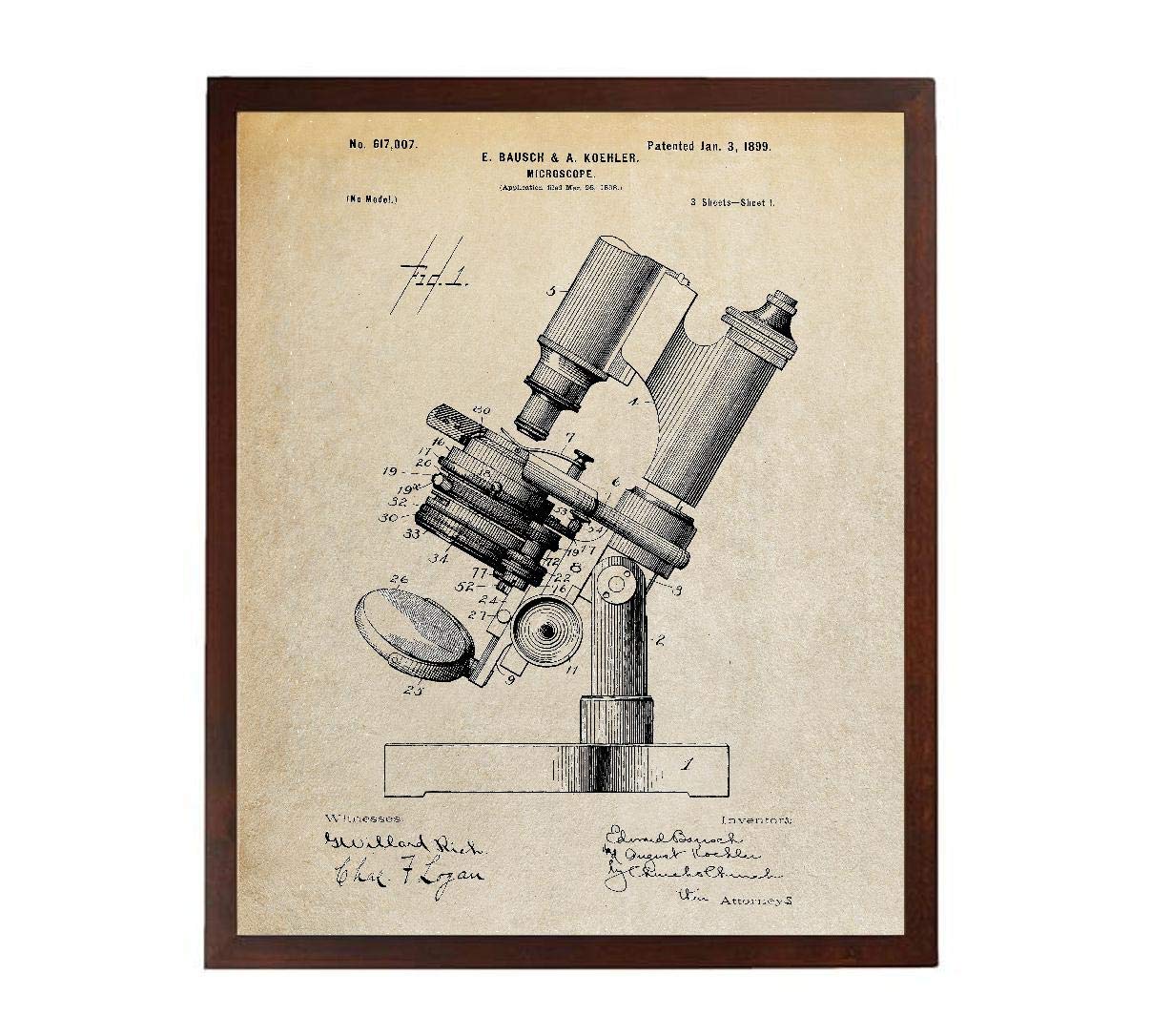Amazon.com: Turnip Designs Microscope Patent Poster Biology Teacher ...