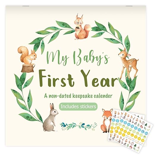Amazon.com : Baby's First Year Calendar with Stickers by Bright Day ...