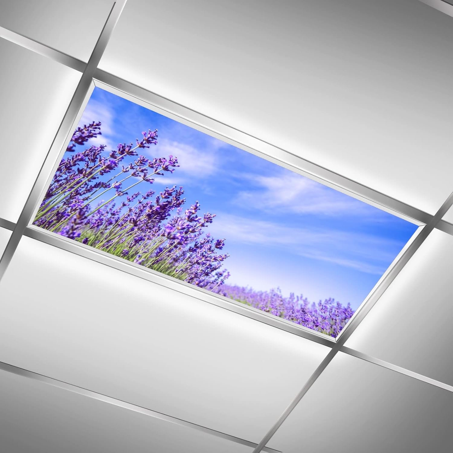 Purple Lavender Flower Clear Sky Ceiling Light Covers for Office ...