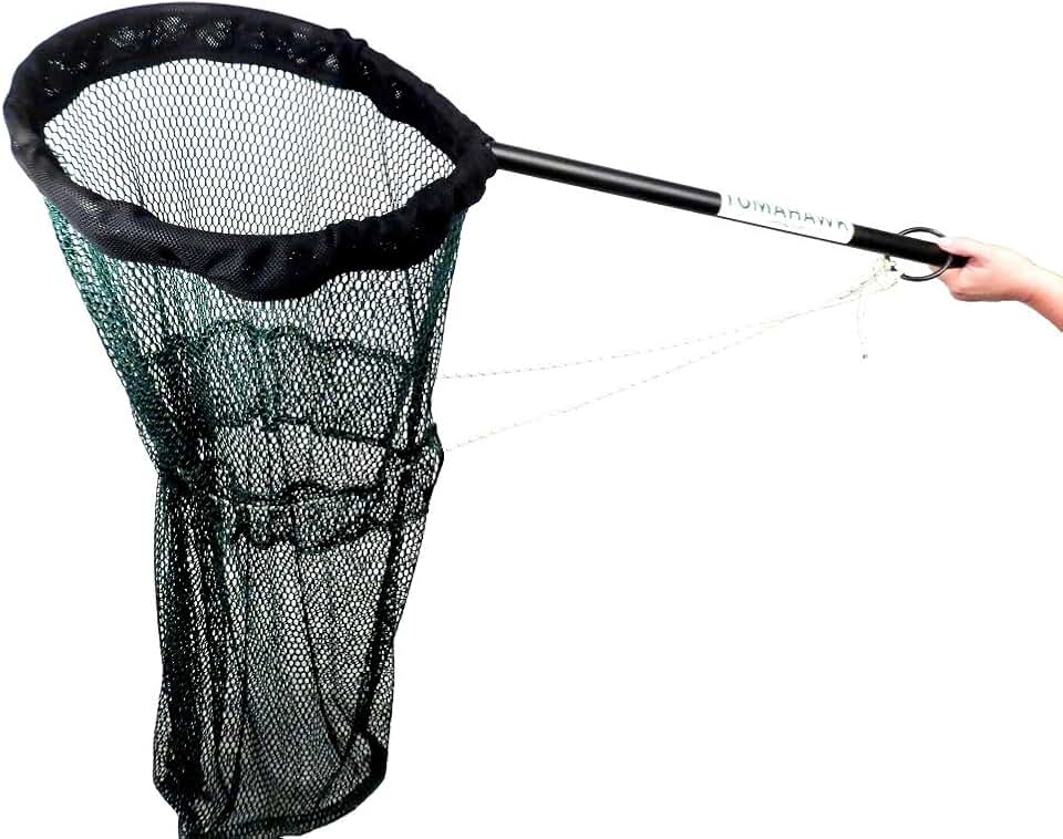 Amazon.com: cat net catcher
