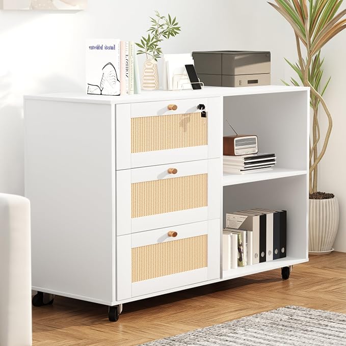 Amazon.com: Lamerge White Filing Cabinet with Drawers & Lock, Wood ...