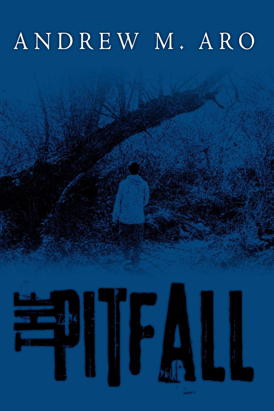 The Pitfall: Aro, Andrew M.: 9781438937762: Amazon.com: Books