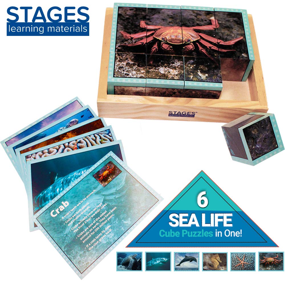 Snapklik.com : Stages Learning Real Picture Sea Life Wooden Cube ...