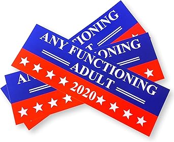 Amazon.com - Any Functioning Adult 2020 Bumper Sticker (3 Pack) Any ...