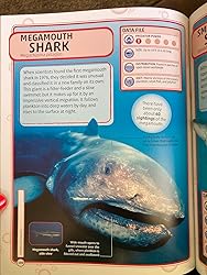 Sharks and Other Deadly Ocean Creatures Visual Encyclopedia (DK ...