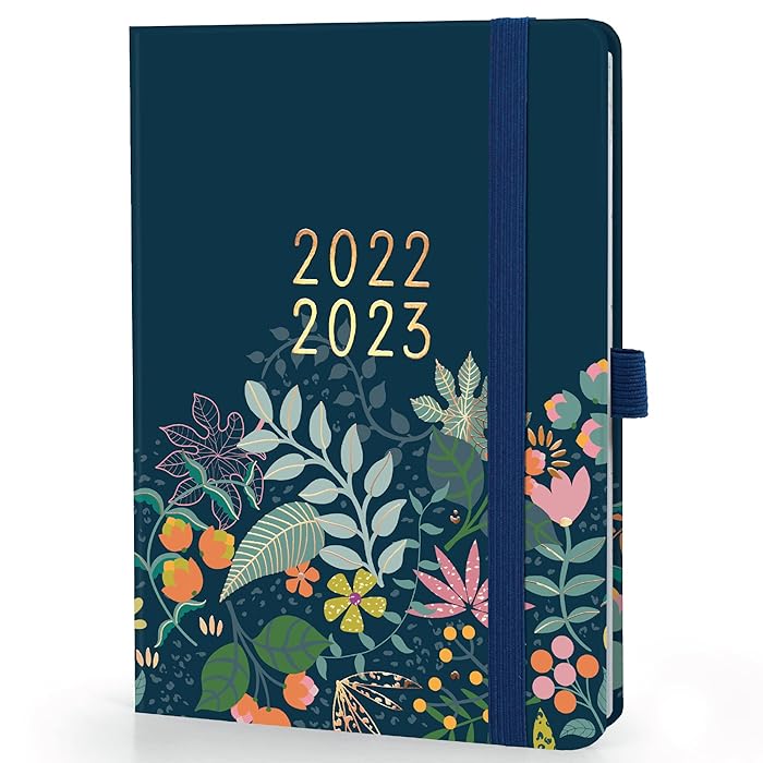 Buy Boxclever Press Academic Diary 2022-2023 runs Aug'22 - Aug'23 ...