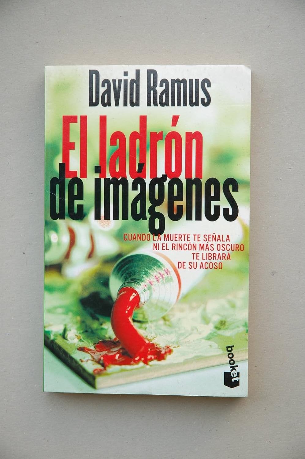 El Ladron De Imagenes (Spanish Edition): Ramus, David, Ramus, David ...