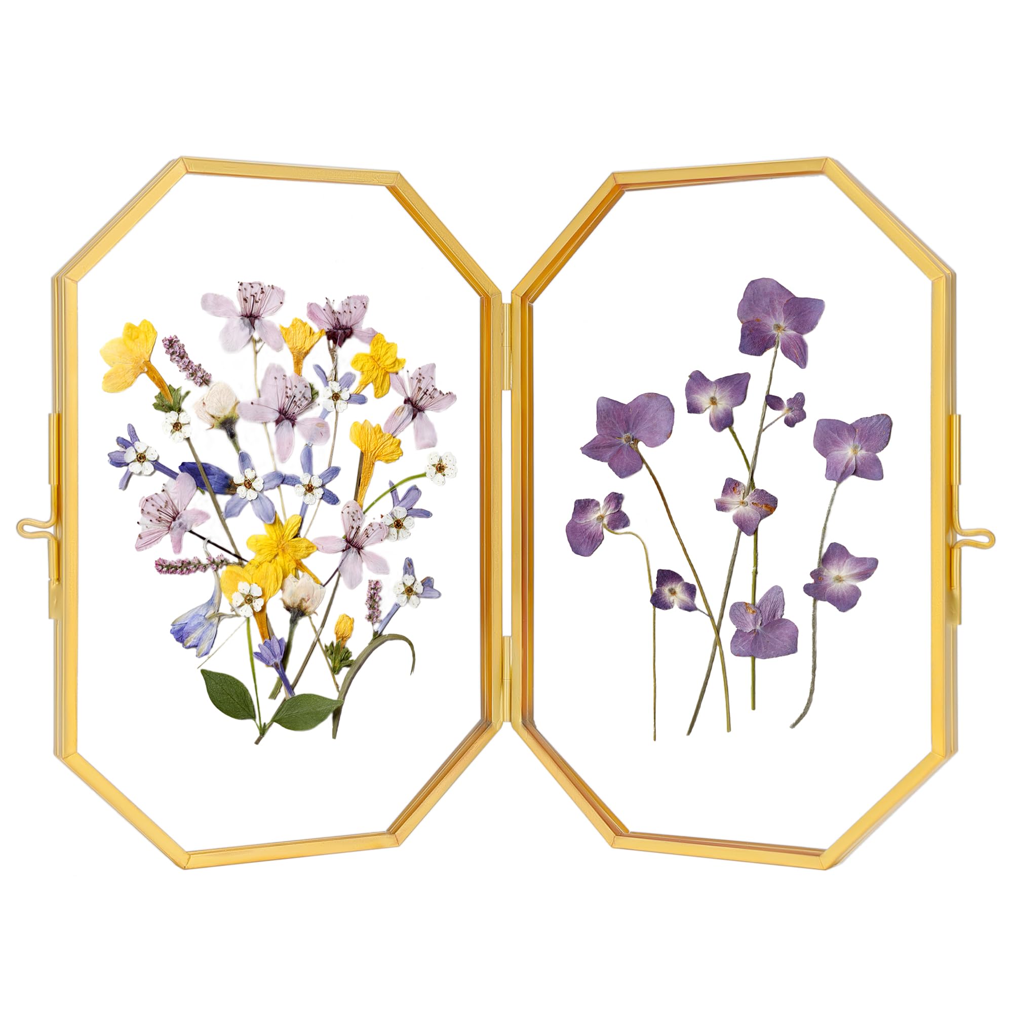 Amazon.com - REDHUGO Double Glass Picture Frame Handmade, Glass Pressed ...