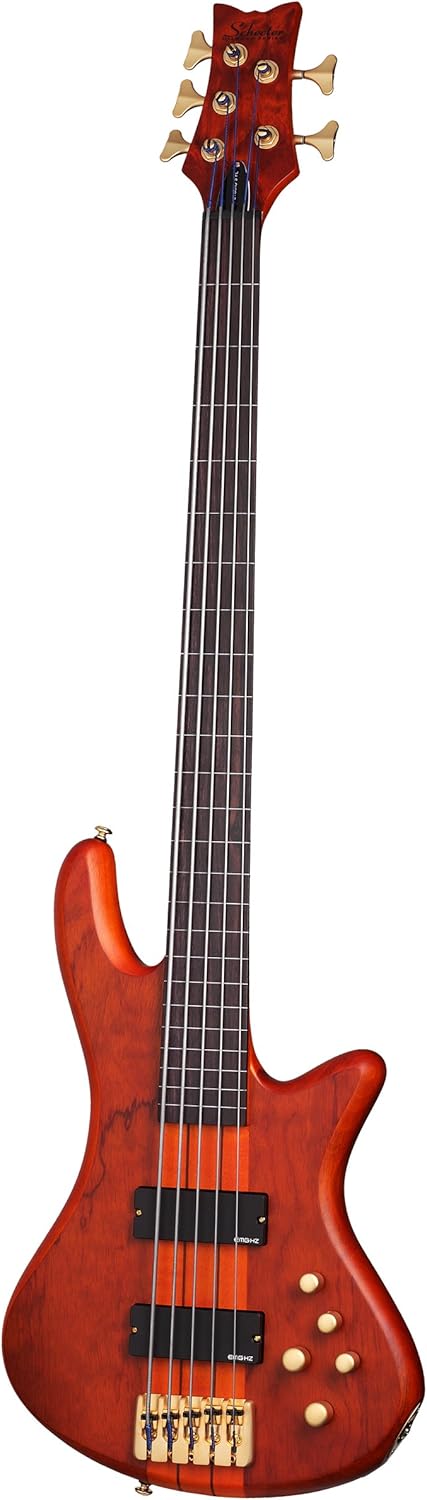 Amazon.com: Schecter Stiletto Studio-5 Fretless Electric Bass (5 String ...