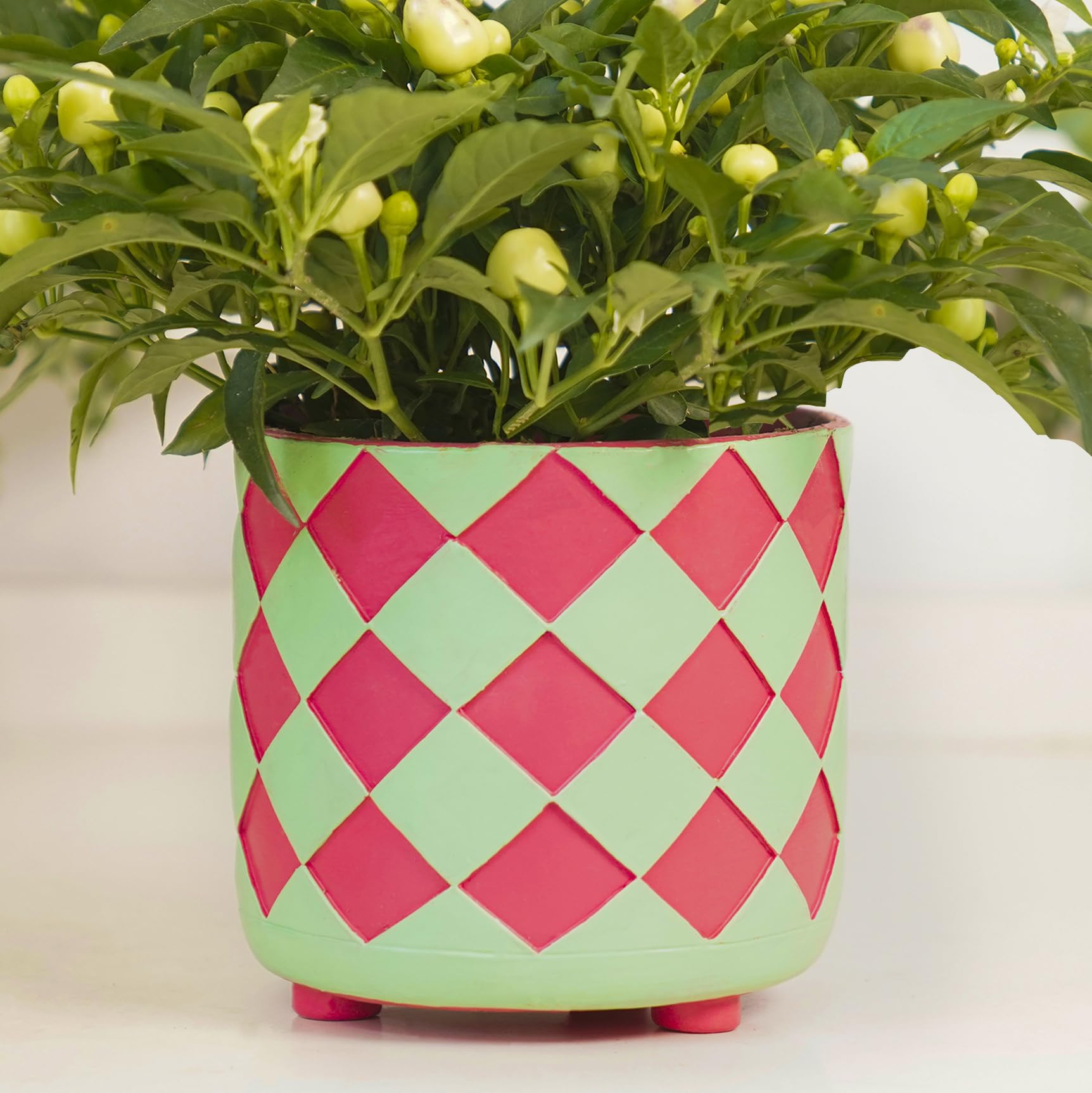 Amazon.com : Pointnio 5 Inch Small Flower Pots for Indoor Outdoor ...