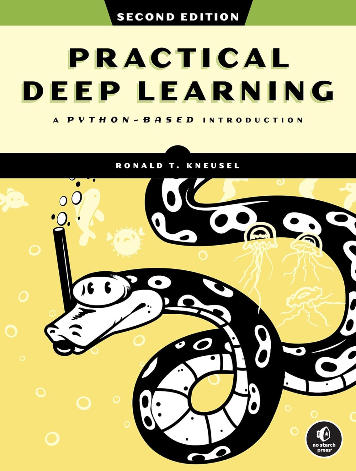 Practical Deep Learning, 2nd Edition: Kneusel, Ronald T.: 9781718504202 ...