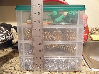 Amazon.com: Snapware FBA_ Snap 'N Stack Seasonal (4) 6"X9" Rectangle 2. ...