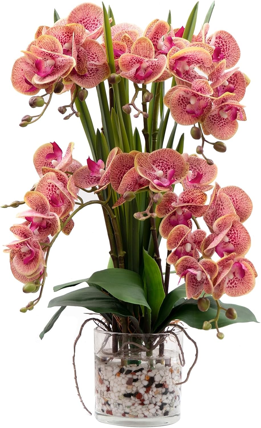 Amazon.com: CXGS Artificial Orchid Flower - Real Touch Faux Orchids ...