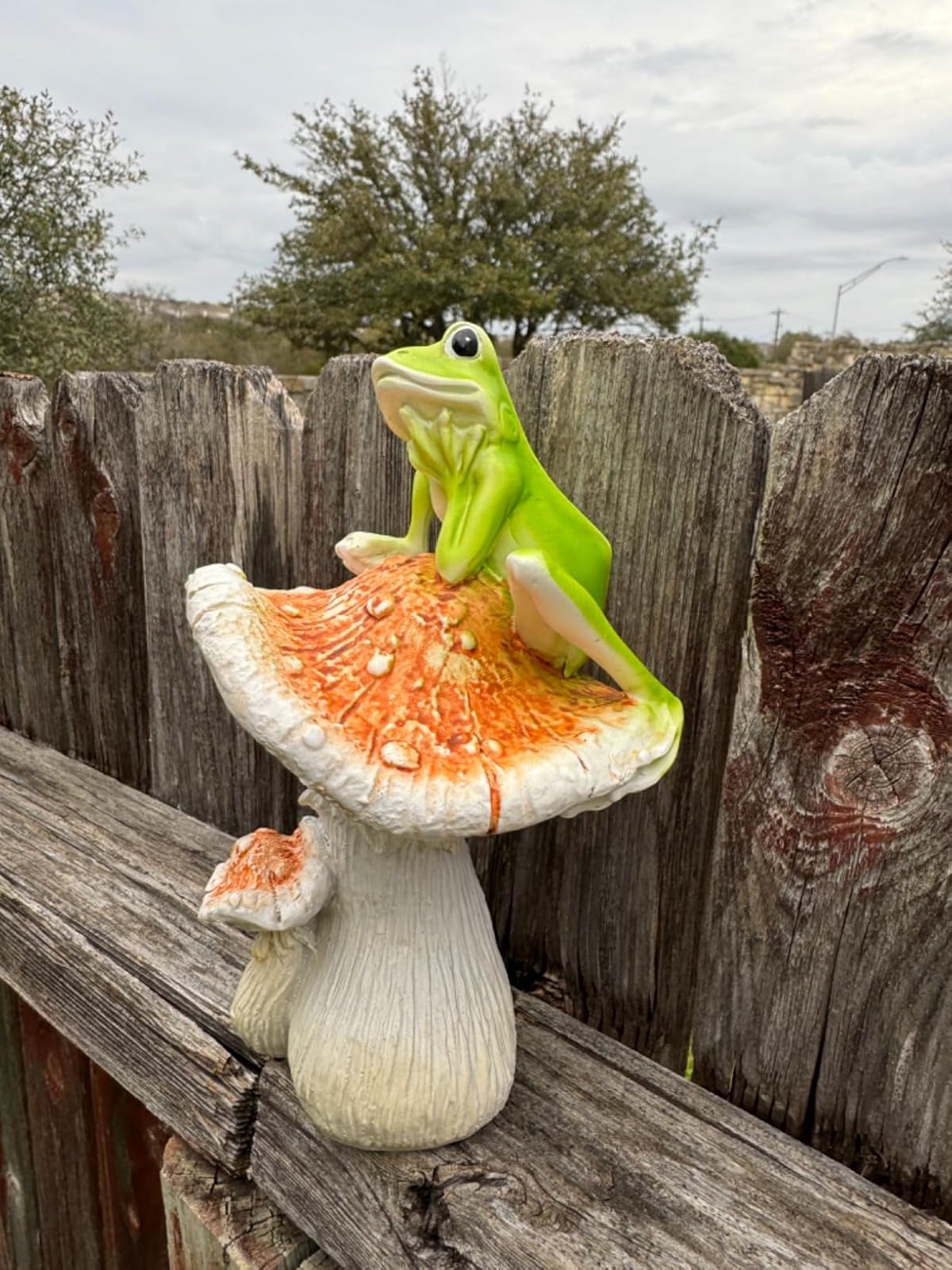 Cool Frog with Lots of Character