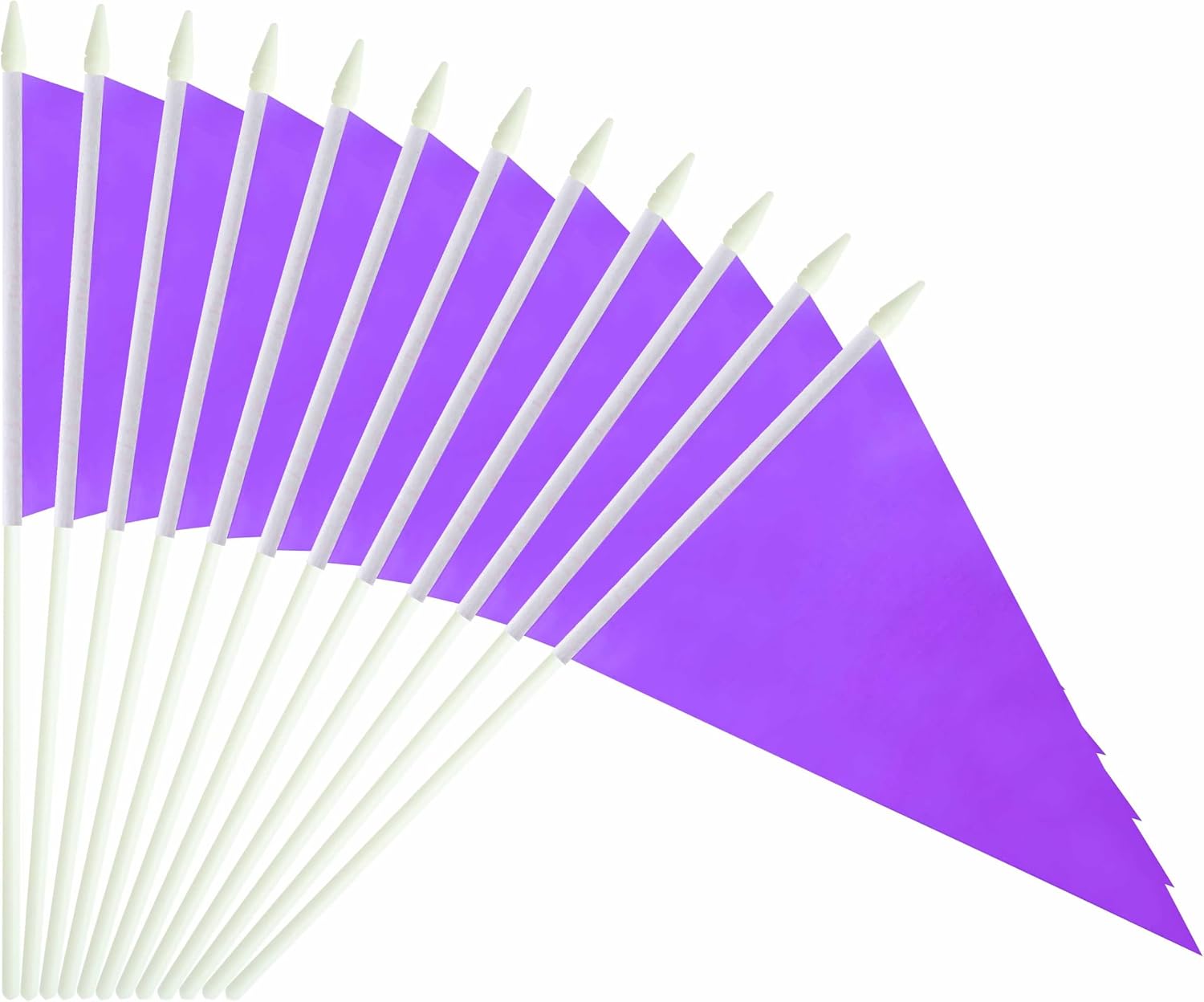 Amazon.com: Fisottey 12 Pack Purple Pennant Stick Flag Small Mini ...