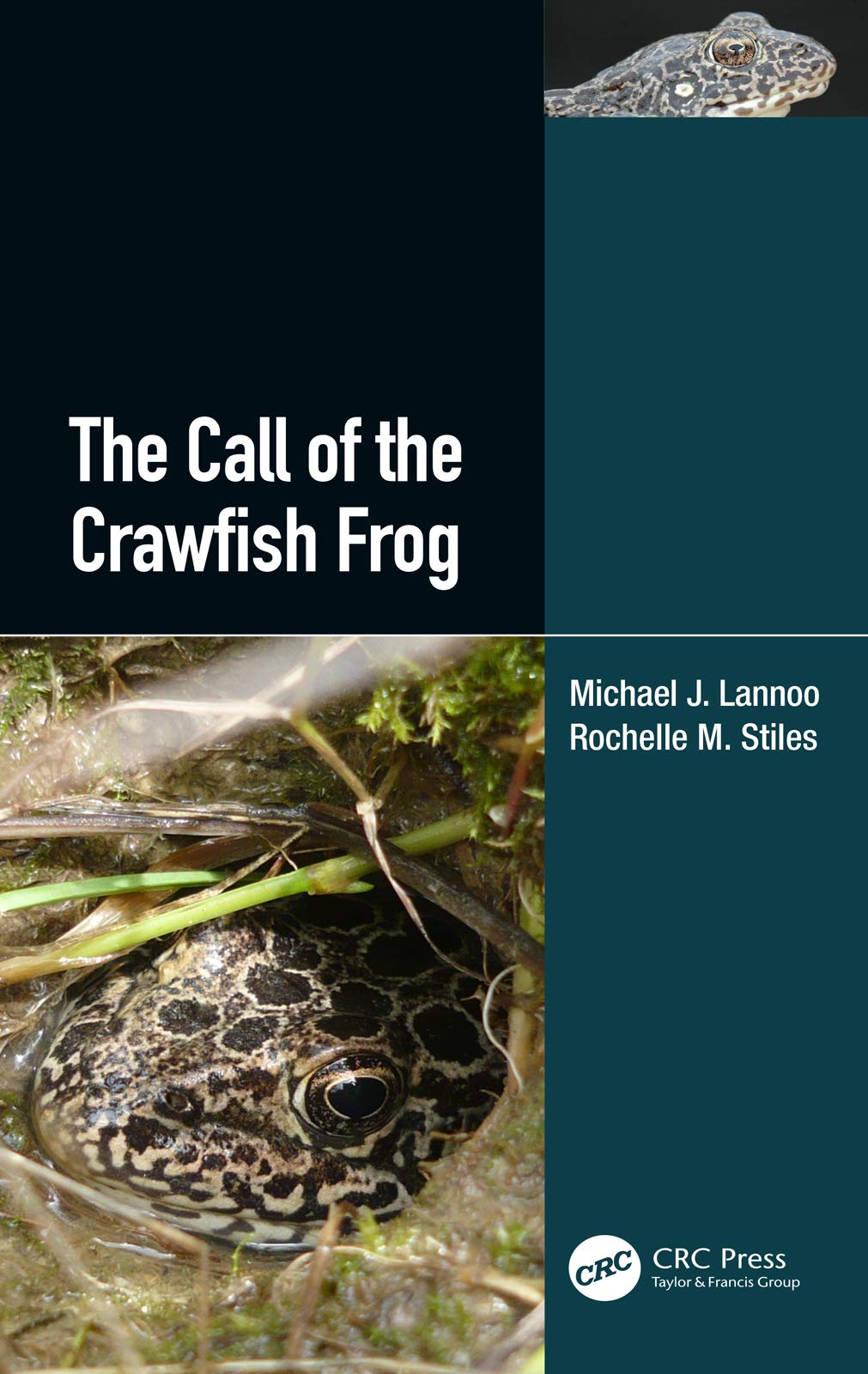 Amazon.com: The Call of the Crawfish Frog: 9780367456351: Lannoo ...