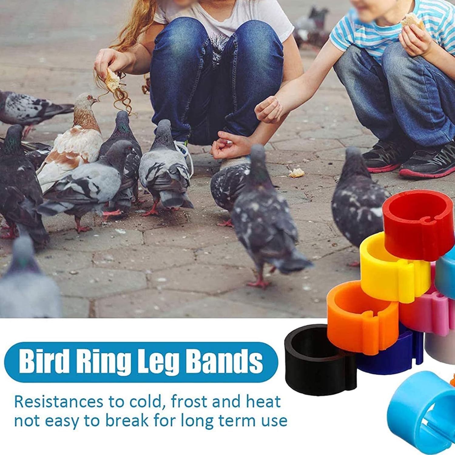 200 Pieces Pigeon Foot Rings Parrot Leg Bands Birds Foot Rings Pigeon ...