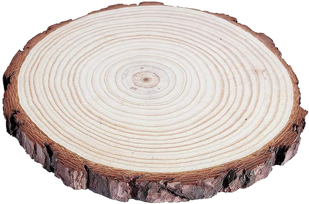 Webbs Woods Disc Serving Platter with Sanded Wooden Log Crafted Slices ...