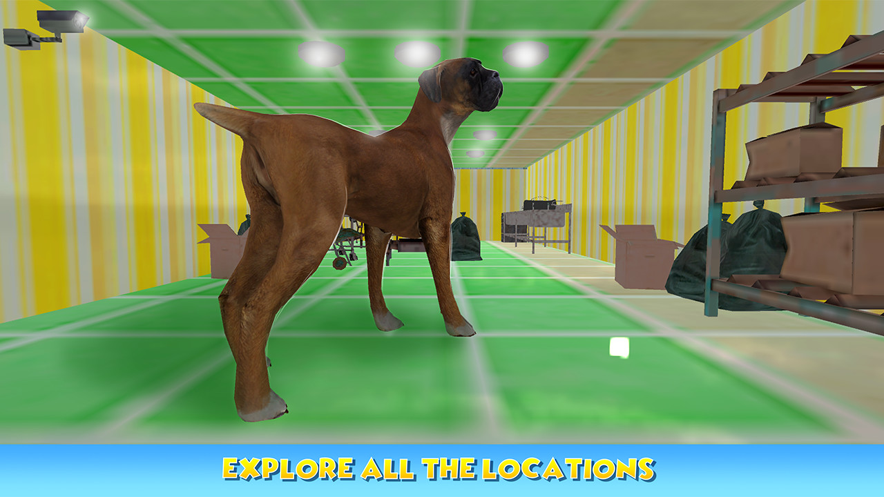 Groom Your Dog: Pet Hotel Simulator Game - App on the Amazon Appstore