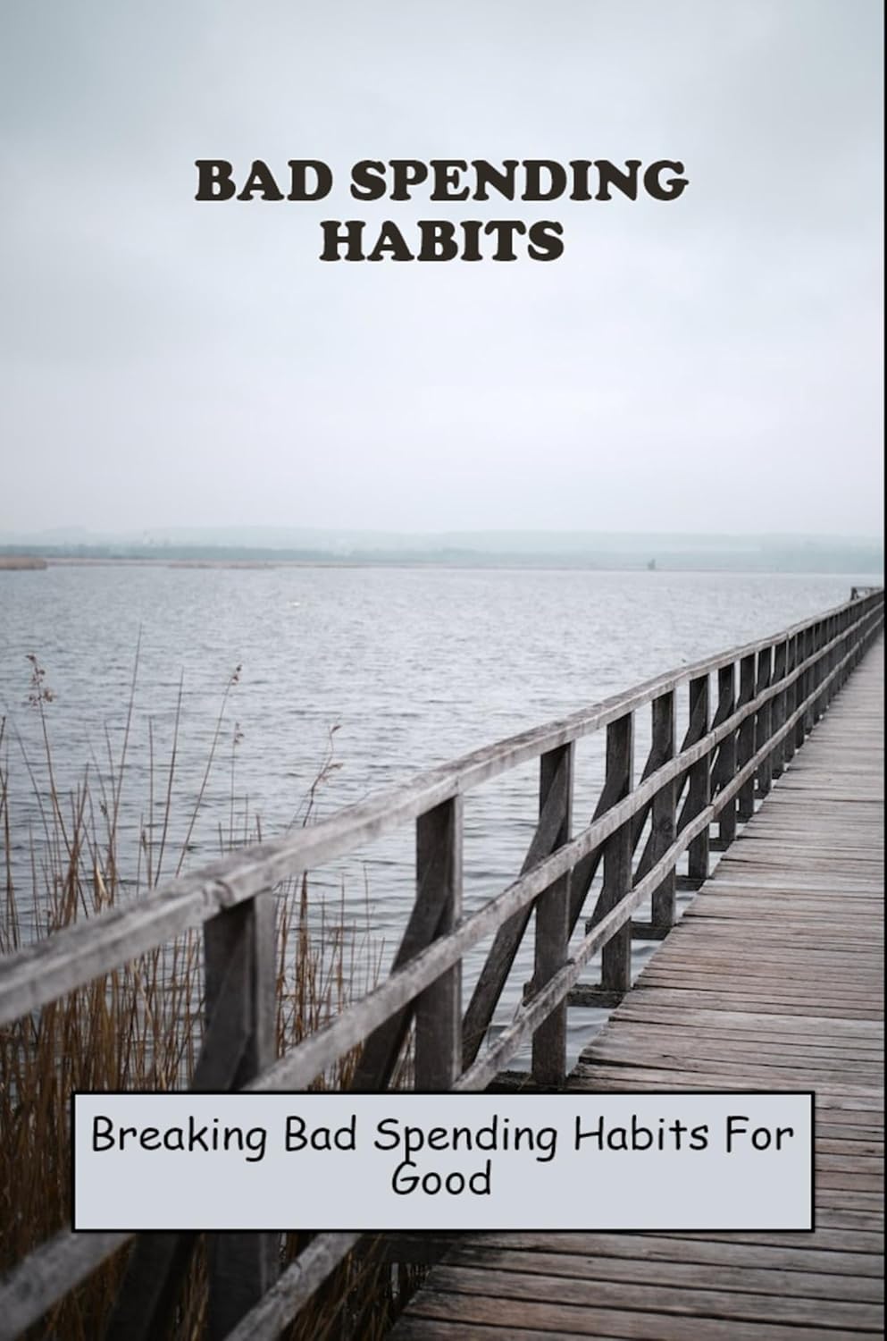 Amazon.com: Bad Spending Habits: Breaking Bad Spending Habits For Good ...