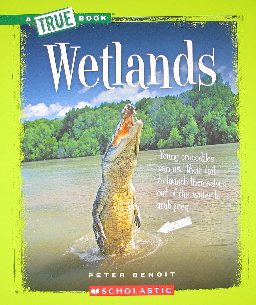 Wetlands (True Books: Ecosystems (Paperback)): Benoit, Peter ...