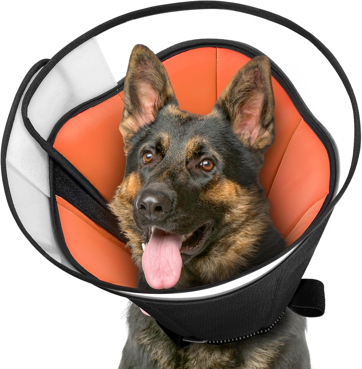 Amazon.com : FURTIME Dog Cone for Large Medium Small Dogs Alternative ...