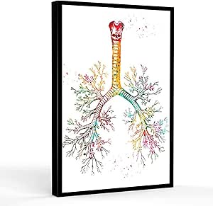 Bronchial tree Lungs Art Alveolar Respiratory System Human Physiology ...